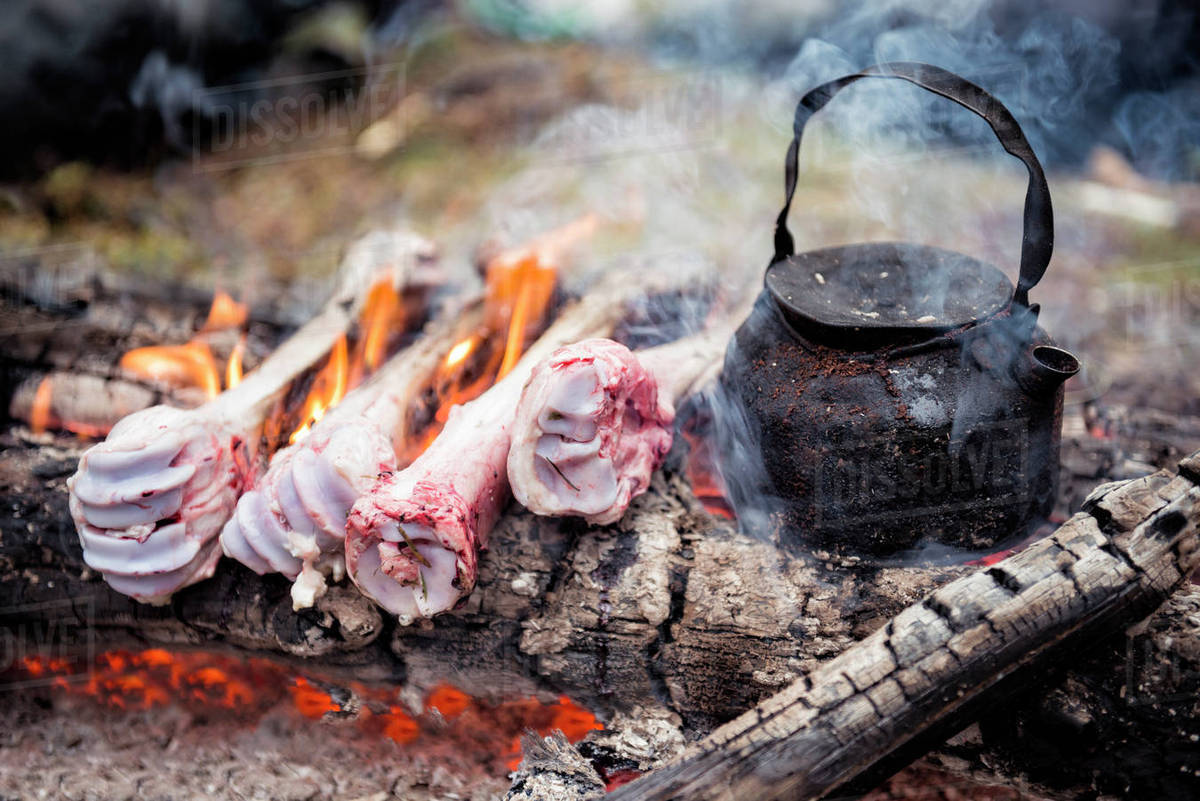 Kettle and animal bones on campfire - Stock Photo - Dissolve
