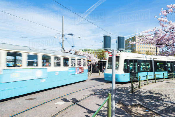 Blue trams - Stock Photo - Dissolve