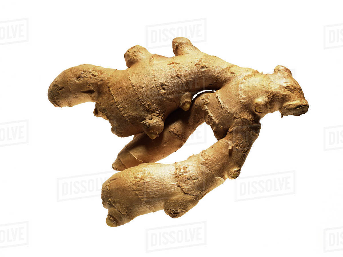 Ginger on white background - Stock Photo - Dissolve