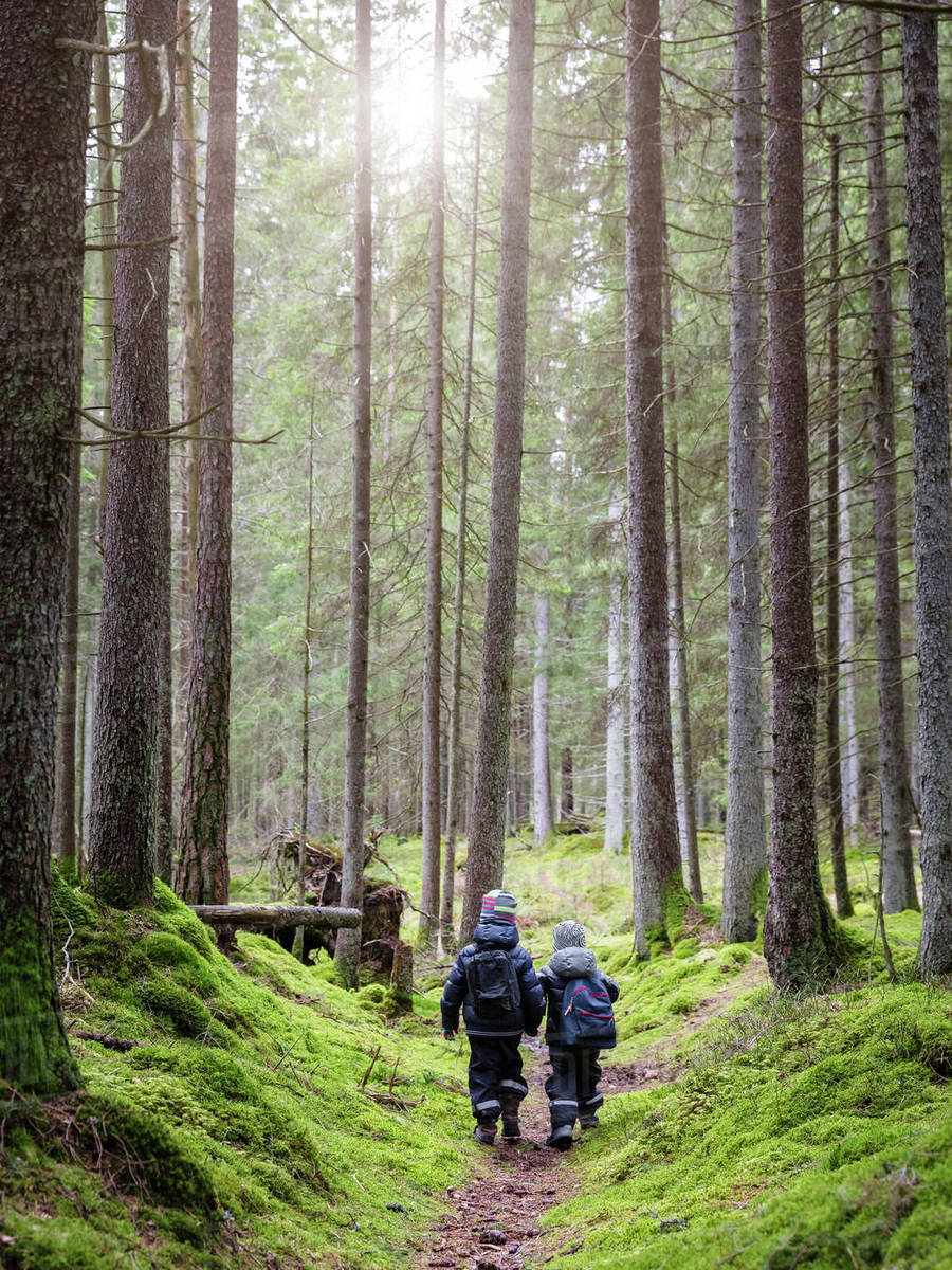 Children walking in forest - Stock Photo - Dissolve