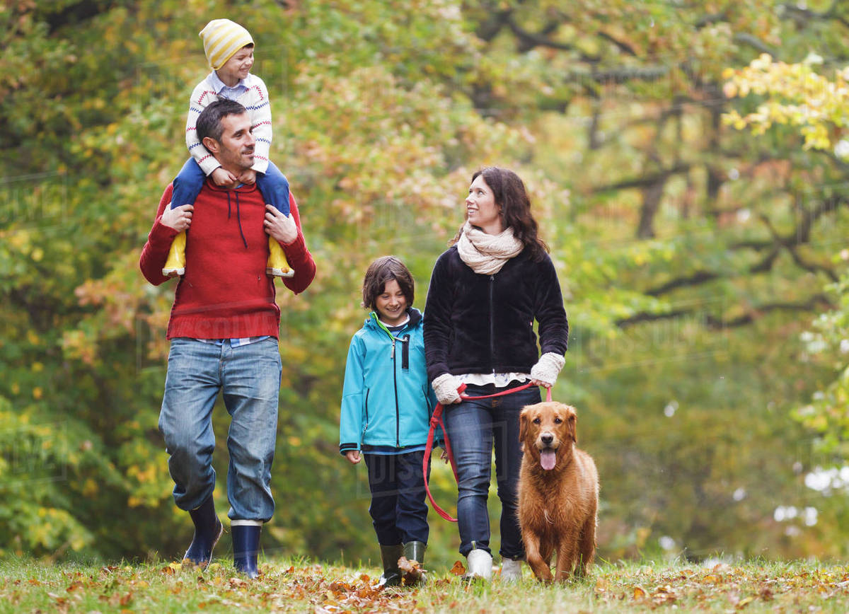 Family with dog walking through forest - Royalty-free Stock Photo ...