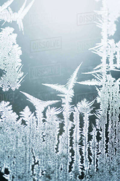 Close-up of frost - Royalty-free Stock Photo | Dissolve