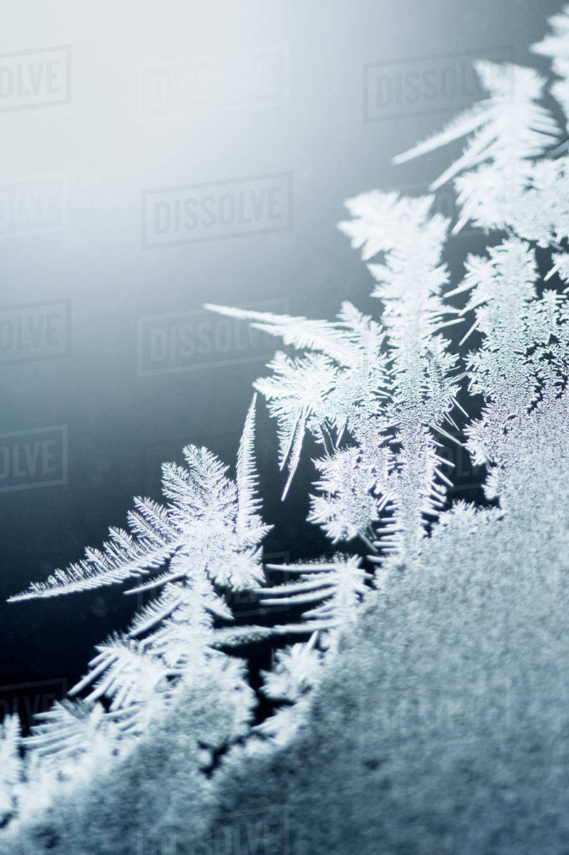 Close-up of frost - Royalty-free Stock Photo | Dissolve