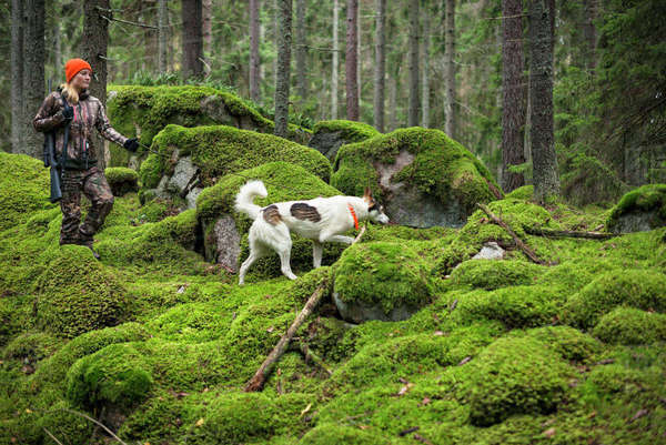 Woman with hunting dog in forest - Royalty-free Stock Photo | Dissolve