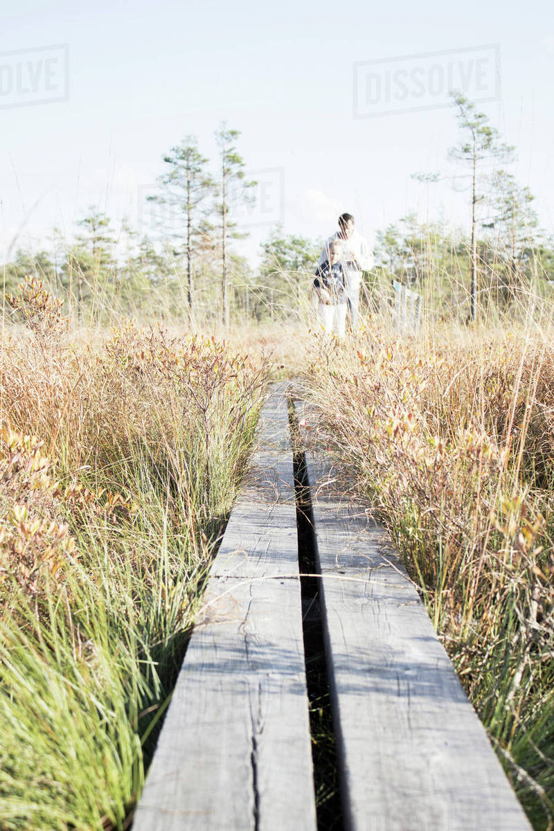 Wooden path through meadow - Royalty-free Stock Photo | Dissolve