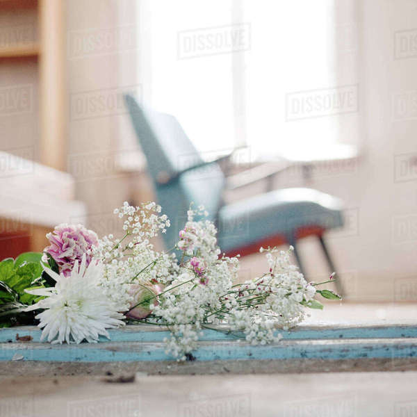 Close-up of flowers - Stock Photo - Dissolve