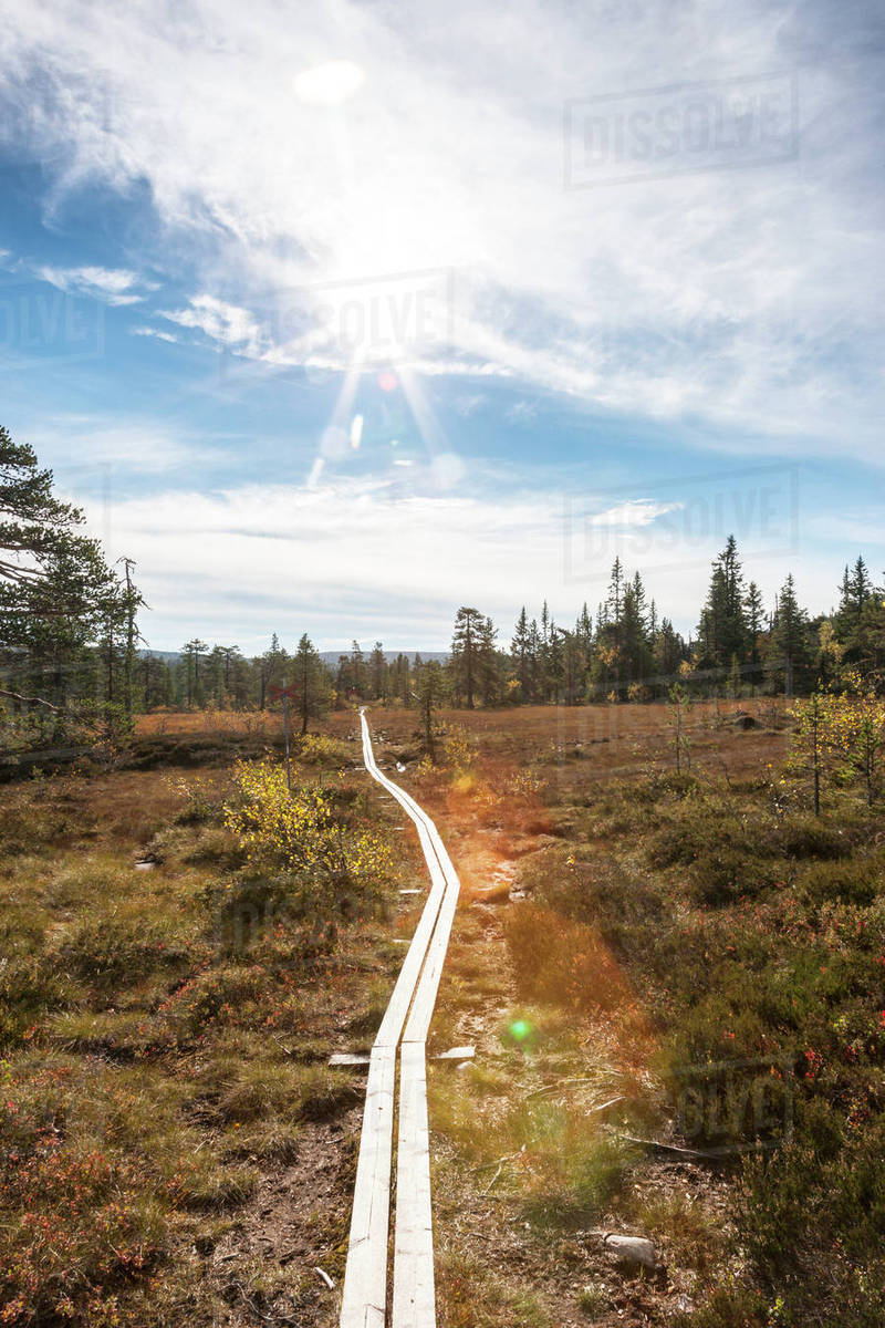 Wooden path through meadow - Royalty-free Stock Photo | Dissolve