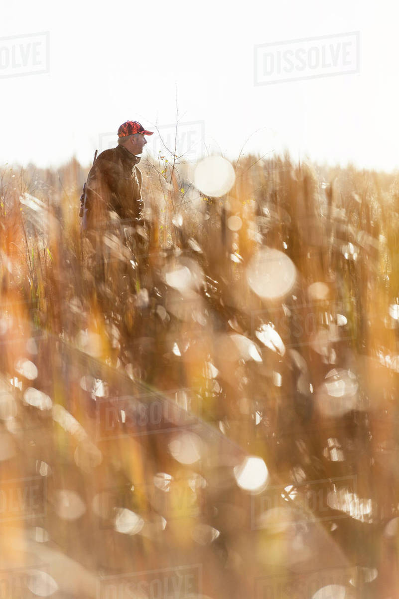 Man hunting - Stock Photo - Dissolve