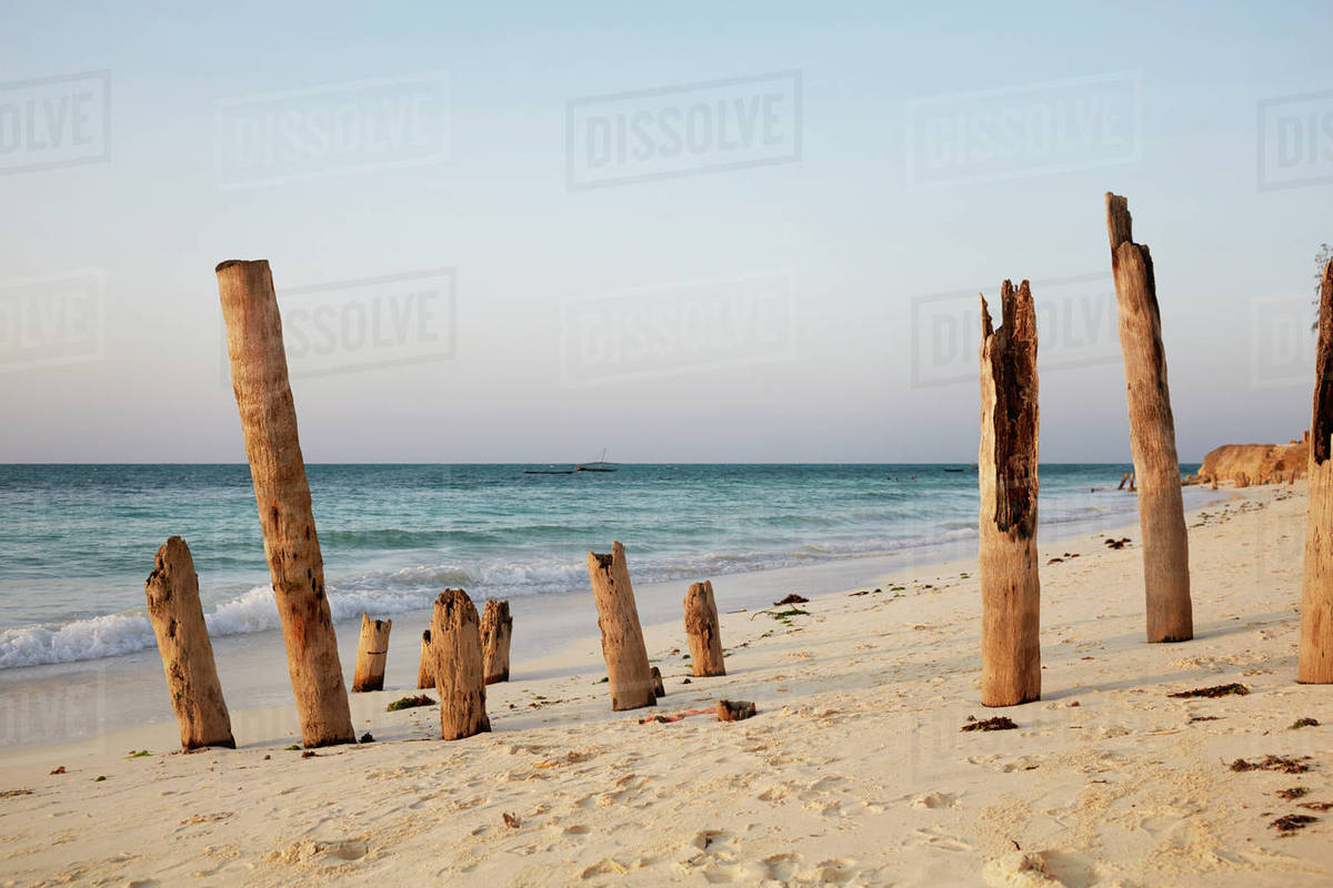 Wooden poles on beach - Royalty-free Stock Photo | Dissolve