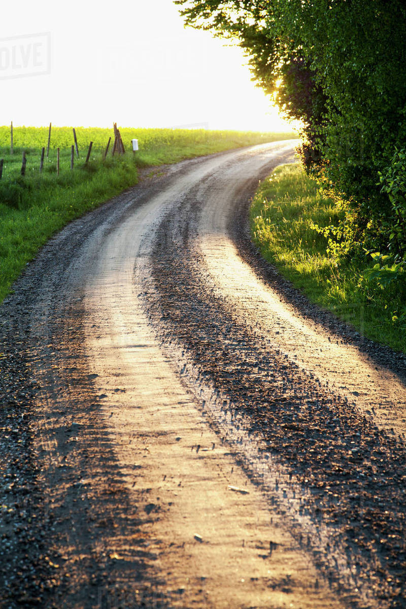 Dirt road - Royalty-free Stock Photo | Dissolve