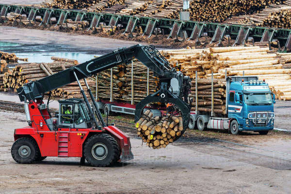Logging vehicle carrying timber - Stock Photo - Dissolve
