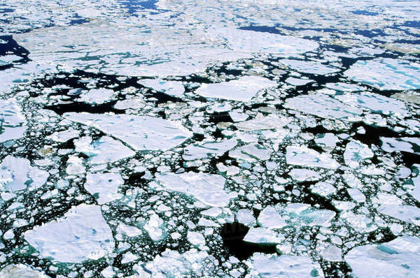 Ice floes on sea - Stock Photo - Dissolve