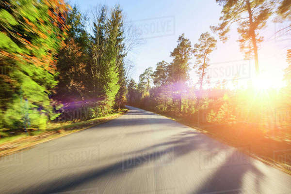 Road going through forest - Stock Photo - Dissolve