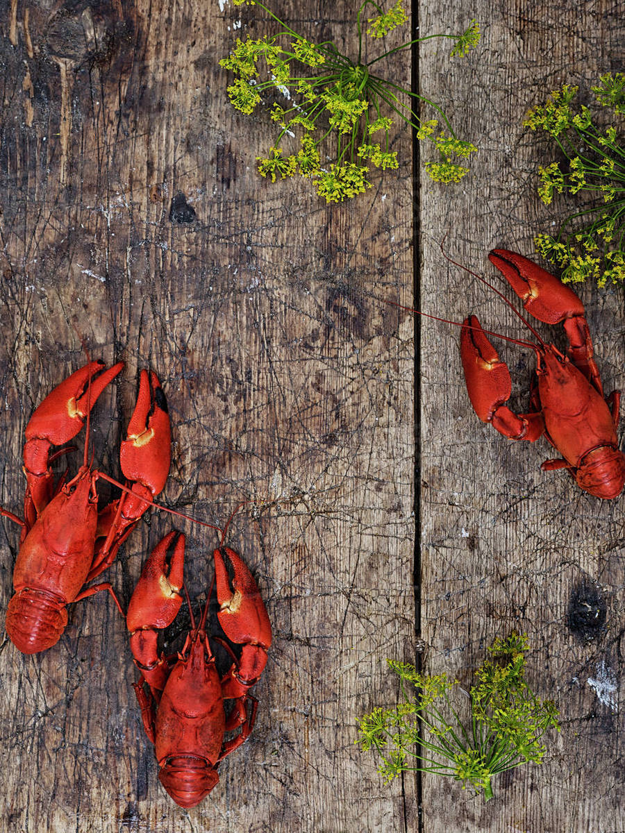 Crayfish on wooden background - Royalty-free Stock Photo | Dissolve