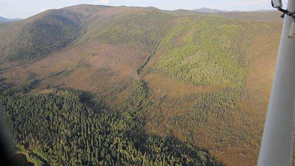 Alaska Hills Trees Greenery. Expansive greenery and rolling green hills ...