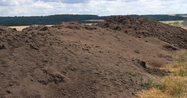 Sewage Sludge that will be used for Spreading in the Agricultural ...