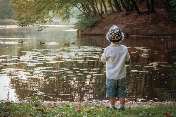 A boy stands by a pond with ducks in the water in a blue shirt, shorts ...