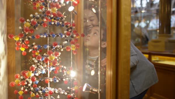 Mother and little boy in science museum looking at DNA molecules in ...