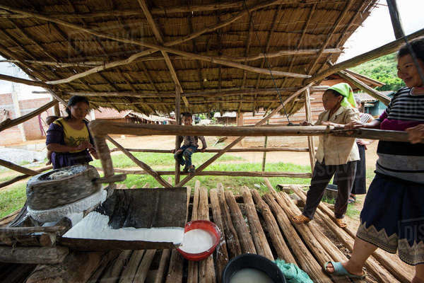 Hmong women grinding rice for the production of rice paper in Na Kam ...