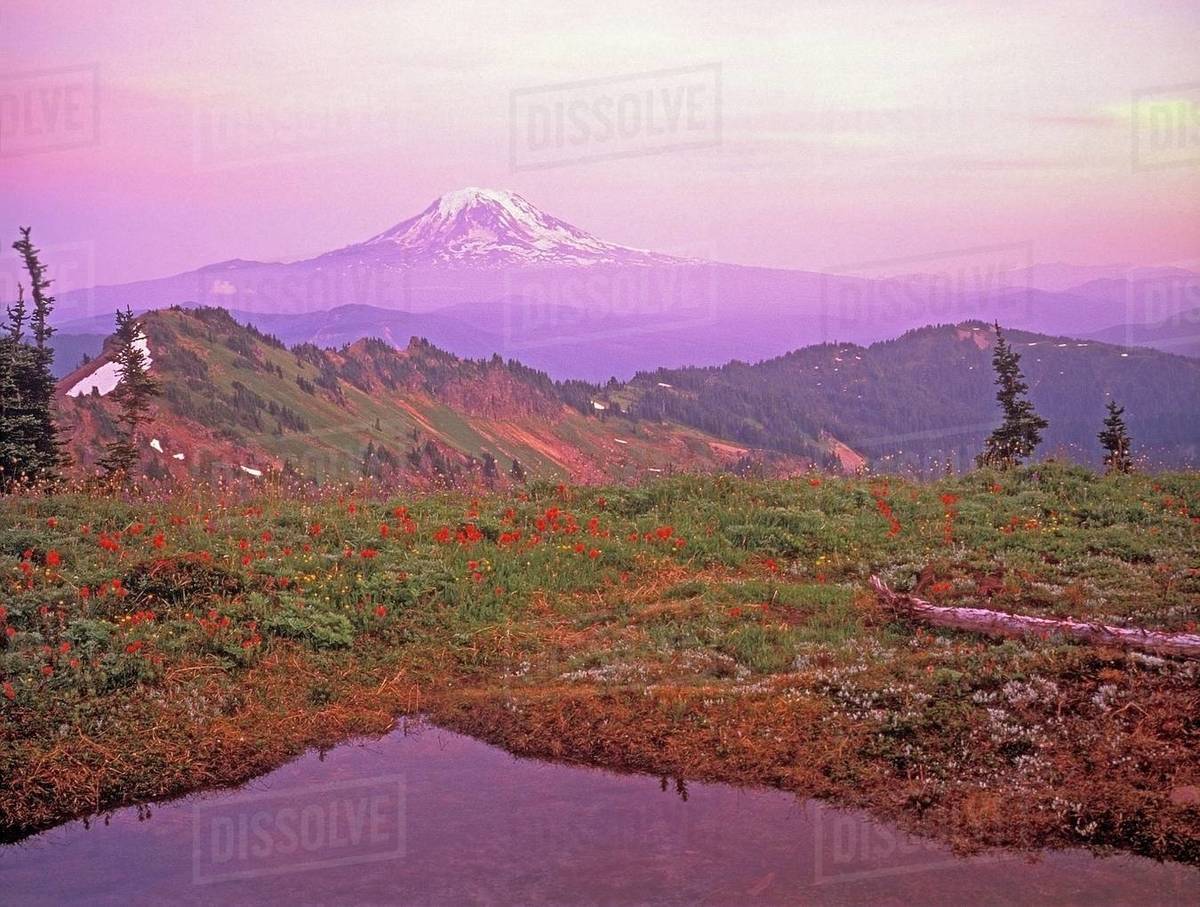 Mount Rainer National Park In Washington Usa - Stock Photo - Dissolve