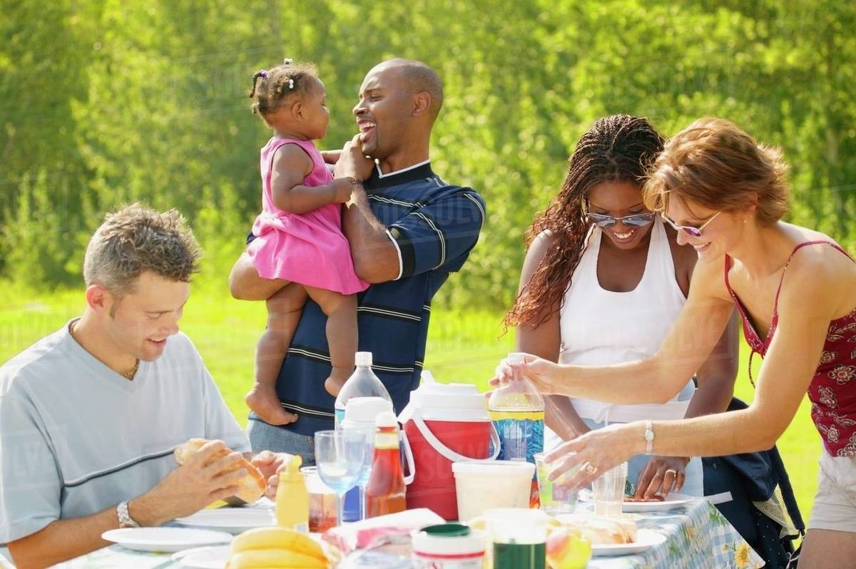 Group Picnic - Stock Photo - Dissolve