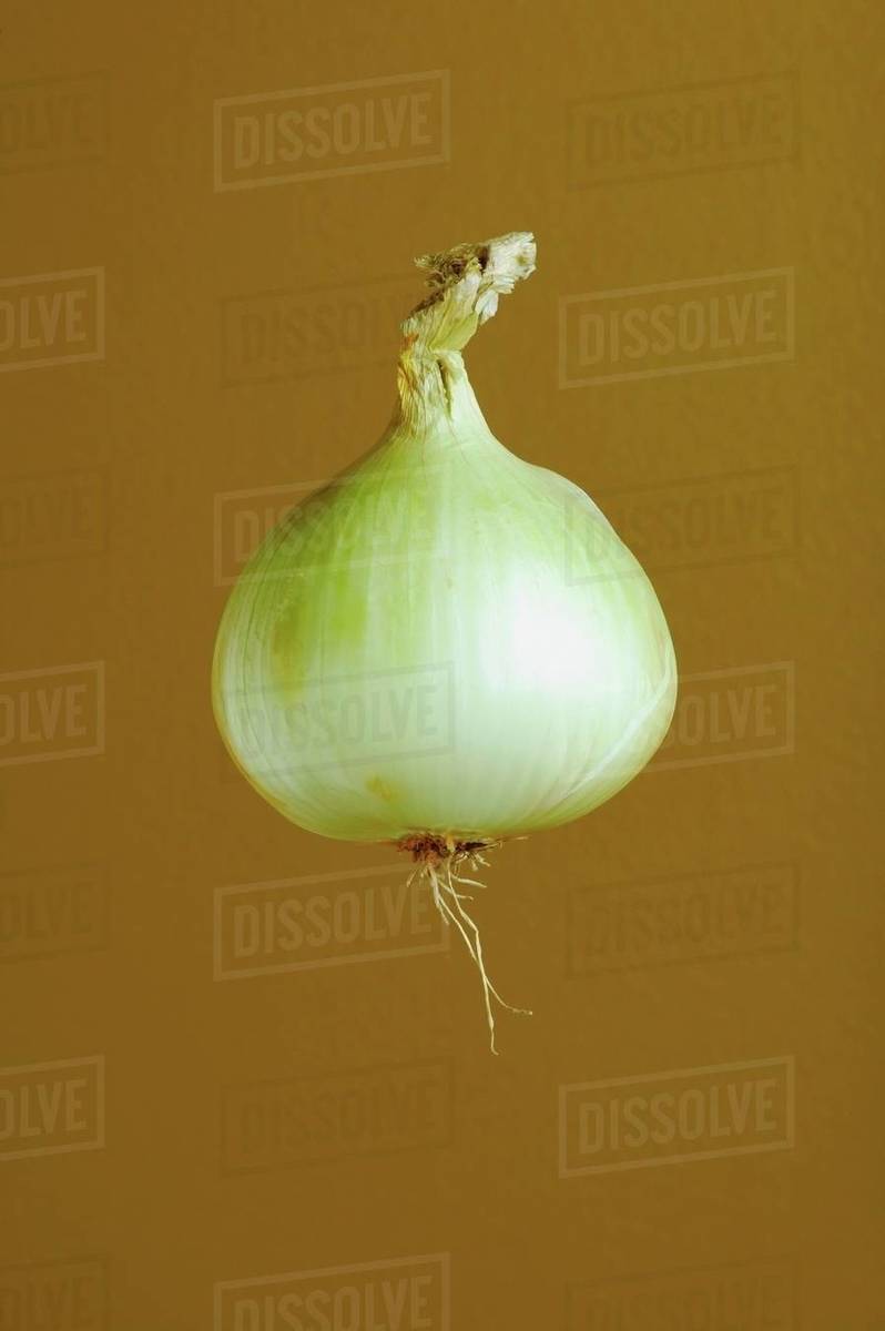 A Yellow Onion - Royalty-free Stock Photo | Dissolve