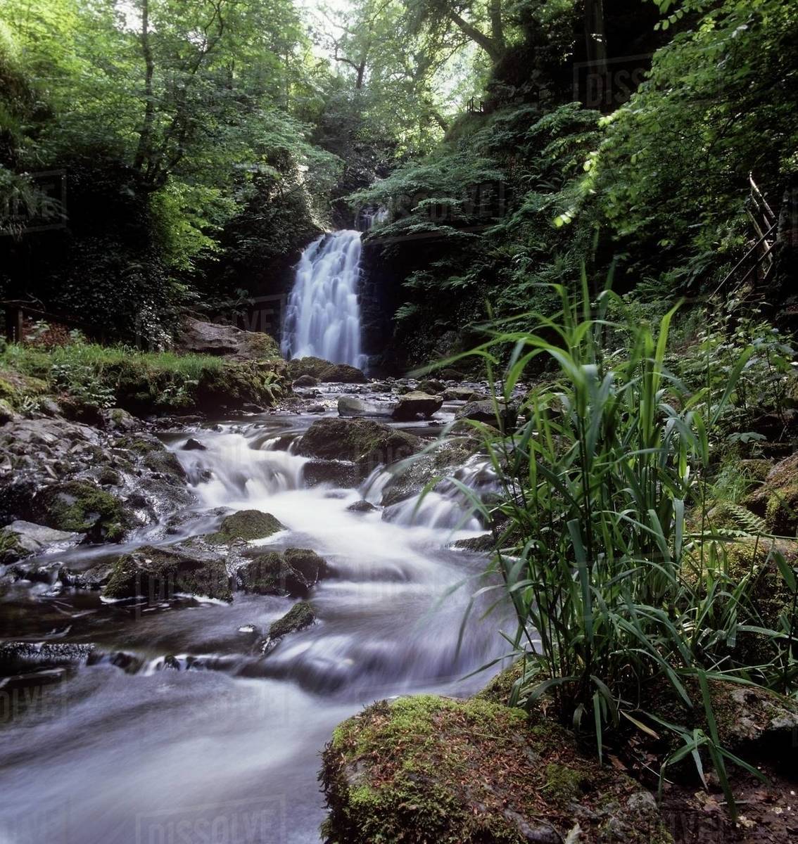 Waterfall In A Forest, Glenoe Waterfall, Glenoe, County Antrim ...