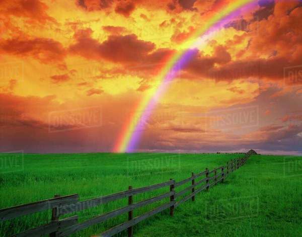 Rainbow In Country Field With Gold Clouds - Stock Photo - Dissolve