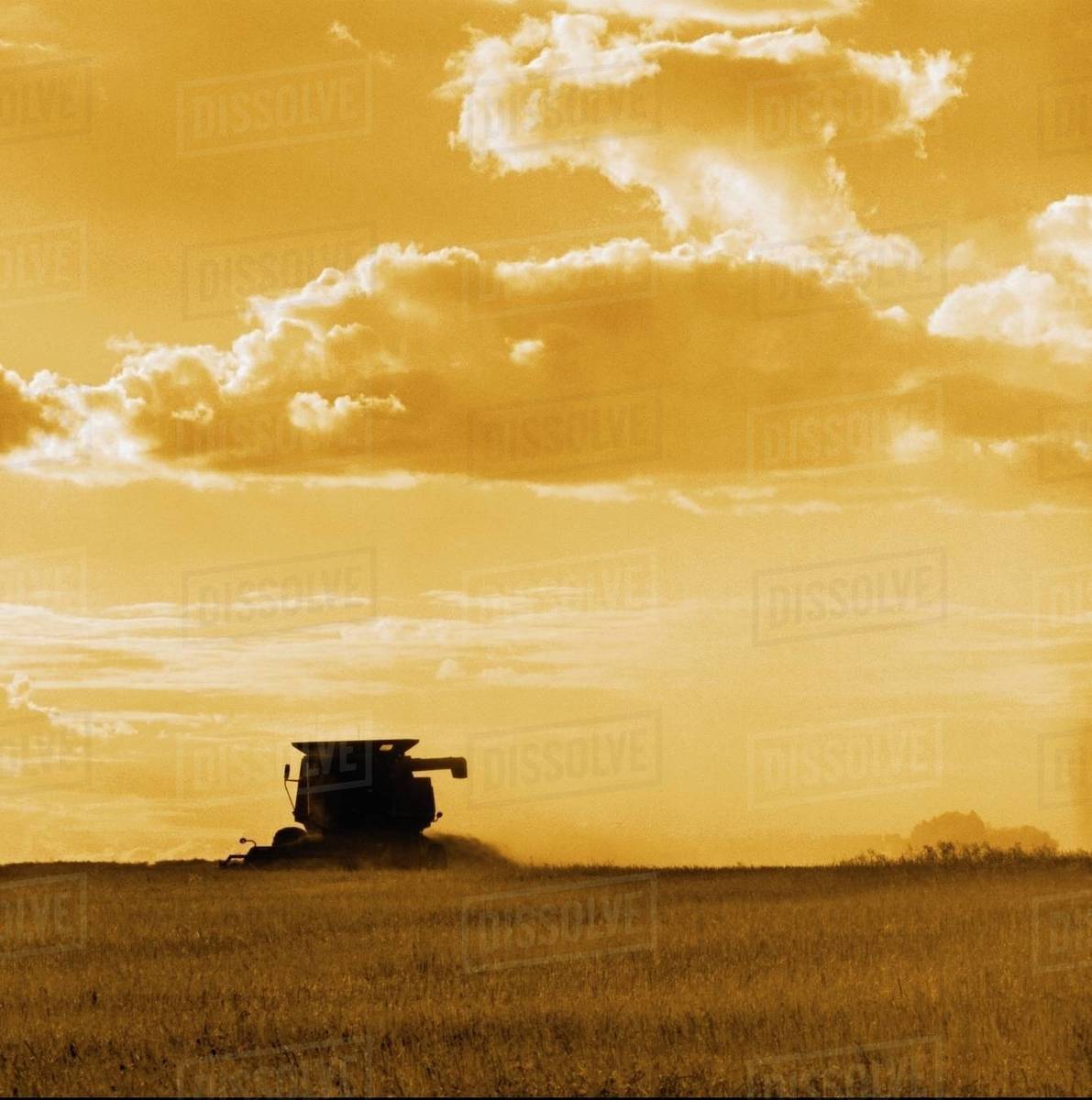 Combine At Sunset - Royalty-free Stock Photo | Dissolve