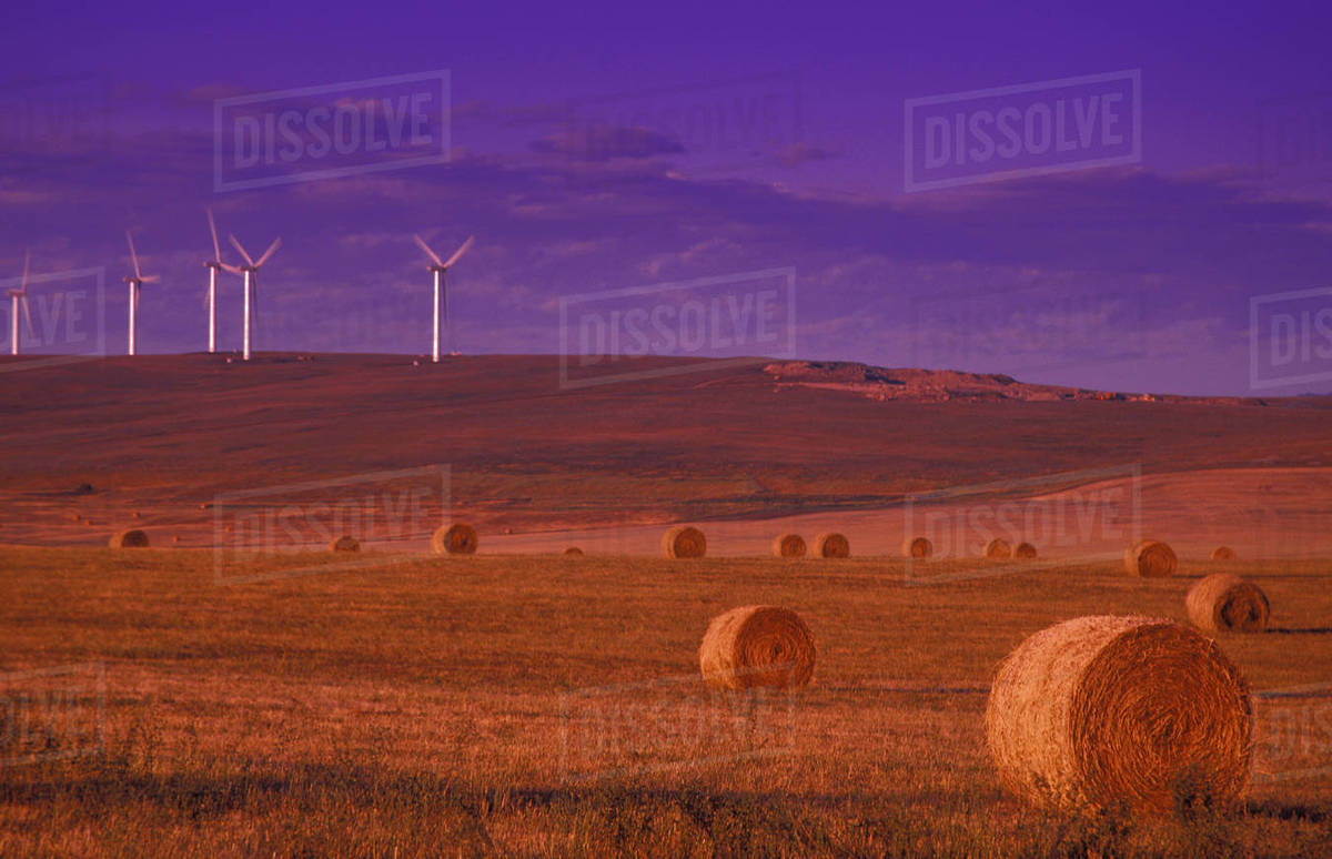 Wind Turbines And Hay Bales - Stock Photo - Dissolve