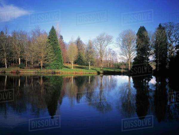 Dun Na Ri Forest Park, Kingscourt, Co Cavan, Ireland - Stock Photo ...
