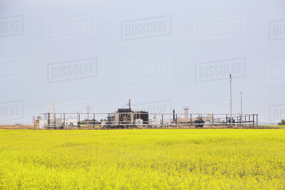 Compressor station in canola field to transport crude oil in rural ...