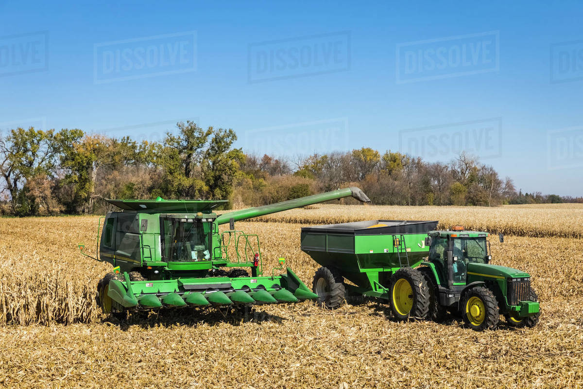 Harvesting Corn, Near Rake; Iowa, United States Of America - Stock ...
