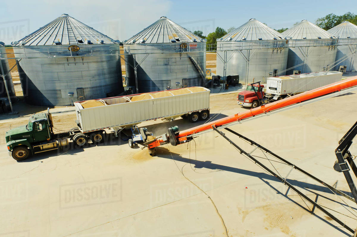 Trucks Coming From The Field Loaded With Rice Await Unloading; Mcgehee ...