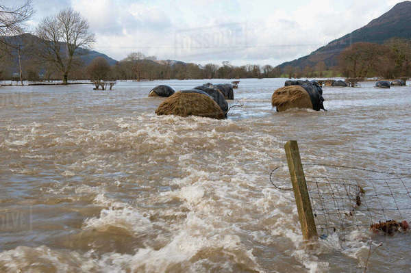 Agriculture - Inundated farmland and large round hay bales being washed ...