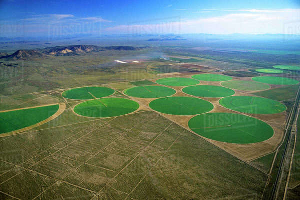 Agriculture - Aerial view of center pivot irrigated circular ...