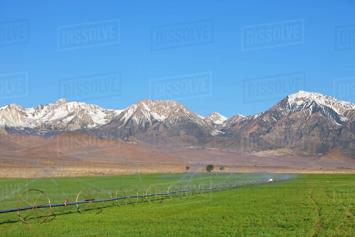 Hay Field Irrigation Systems