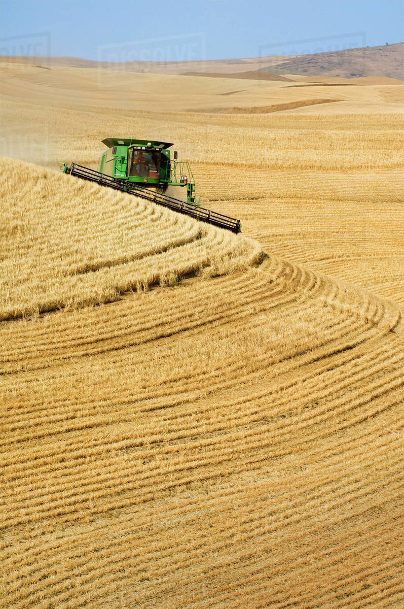 Agriculture - A John Deere combine harvests barley on steep hillside ...