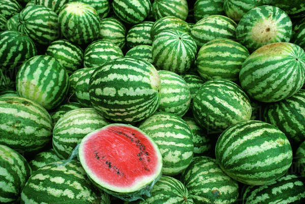 Agriculture - Fresh watermelons for sale at the Quincy Market / Boston ...