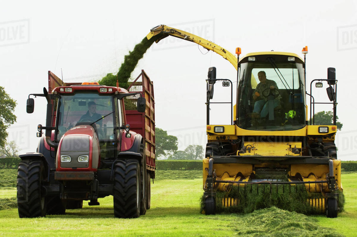 Agriculture - A self propelled forager and tractor with silage wagon in ...