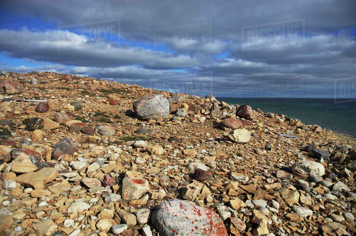 Rock tundra, Western arm of the Arctic ocean; Kitikmeot Region, Nunavut ...