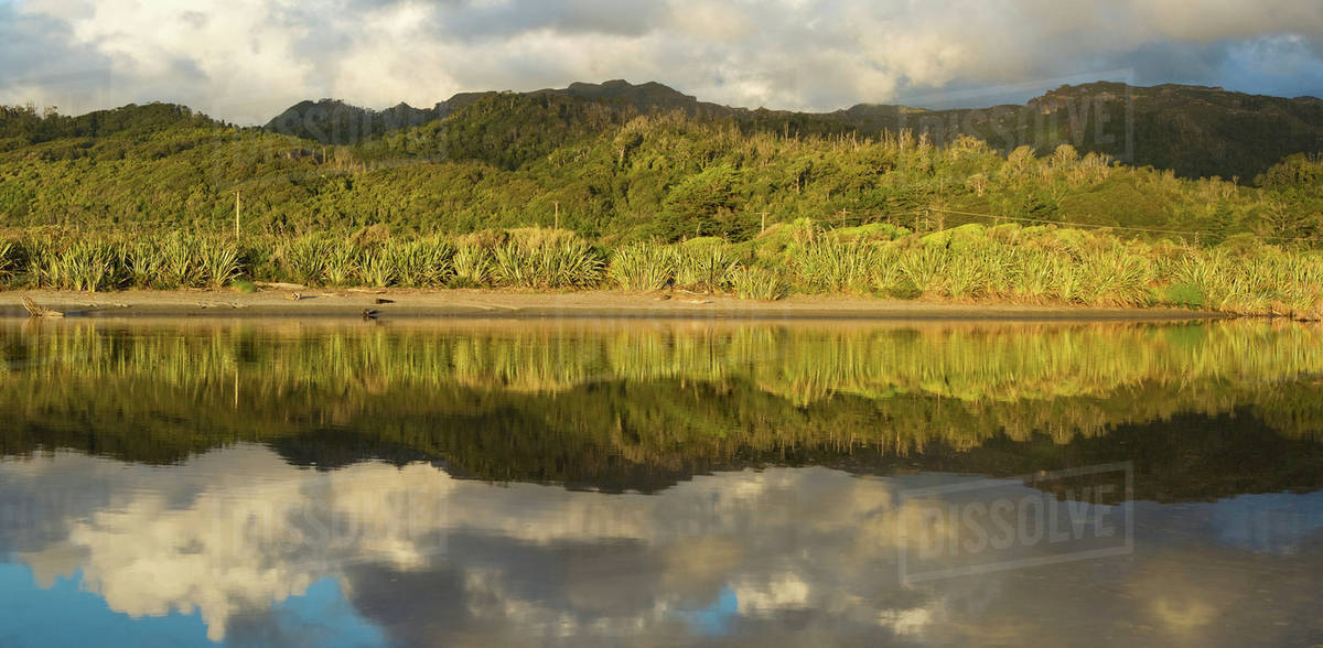 Reflections on a tidal creek at Rapahoe Beach at sunset; Rapahoe, New ...