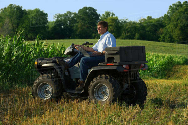 Agriculture - A farmer sitting on his ATV observes his grain corn crop ...