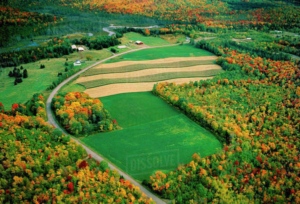 Agriculture - Aerial view of agricultural fields and a farmstead ...