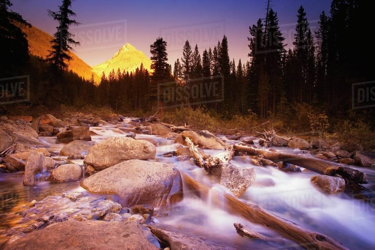 A Beautiful Mountain Stream - Royalty-free Stock Photo | Dissolve