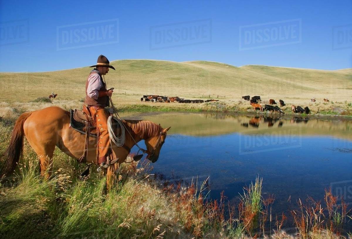 Cowboy Next To Water - Royalty-free Stock Photo | Dissolve