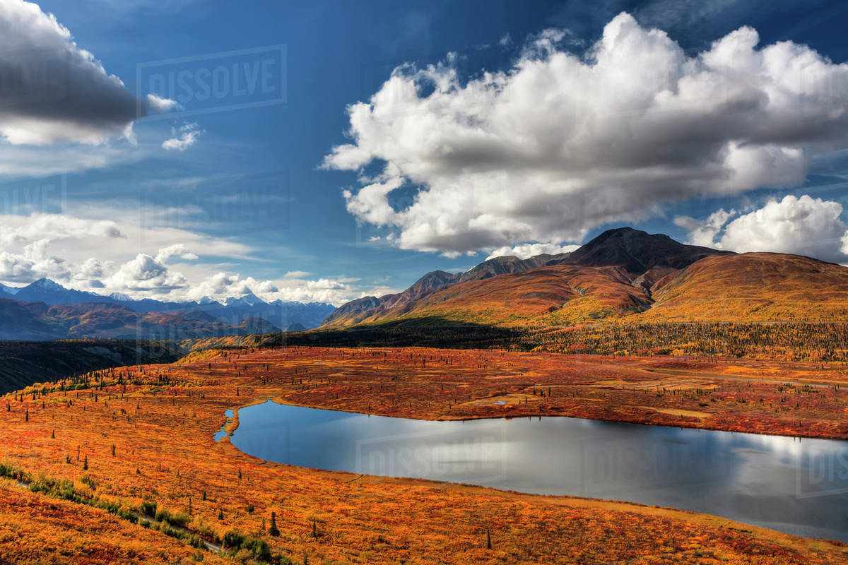 Scenic View Of Fall Colors Along Knob Lake From Alascom Road Near Sheep ...