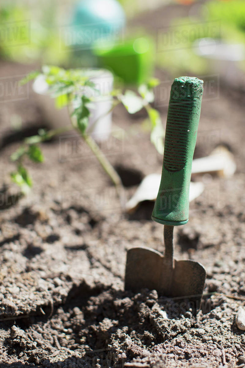 Garden spade in the earth after planting in the sun; Toronto, Ontario ...