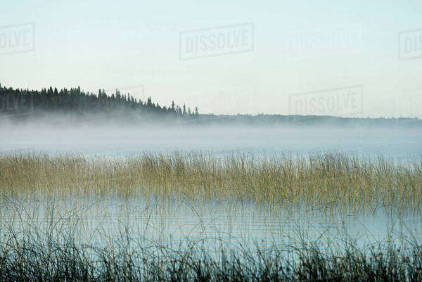 Mist covers Lake Audy on a morning at Riding Horse National Park ...