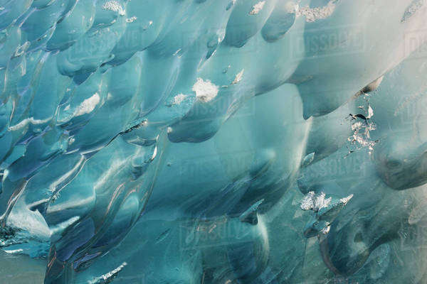 Close up of iceberg broken off Mendenhall Glacier floating in ...
